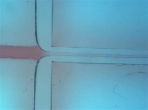 Plga Droplets In Microfluidic How Avoid Plga Precipitation And Clogging Researchgate