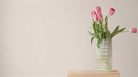 Download A Breath Of Fresh Air A Minimalist Spring Scene Wallpaper