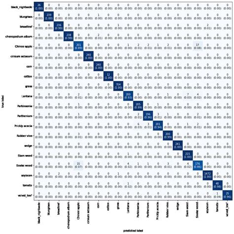 Summary Of Crop And Weed Datasets Used In This Research Download Scientific Diagram
