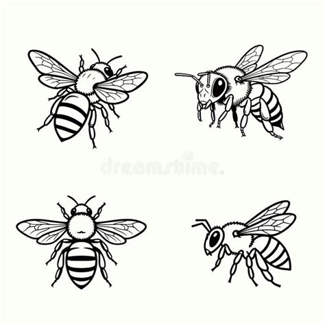 Honeybee And Bumblebee Insect Line Drawing Set Stock Vector