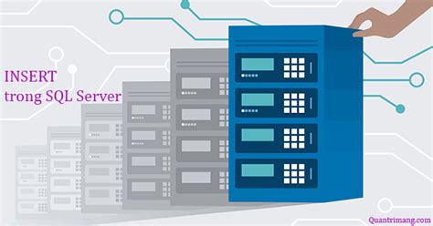 Lệnh INSERT trong SQL Server QuanTriMang com
