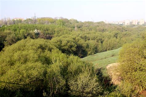 Lipetsk Map - Russia - Mapcarta