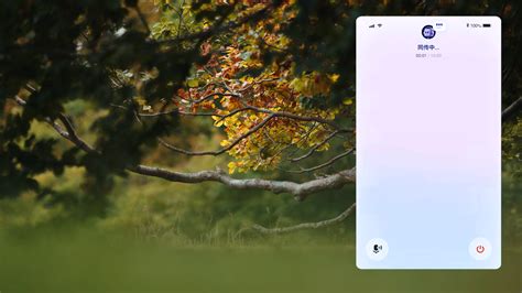 bytedance seed