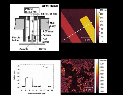 4 A Schematic Of The Home Built Afm Including The Interferometer