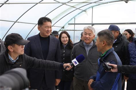 Энэ жил хүнсний ногооны хэрэгцээний 82 хувийг дотоодоос хангах боломж