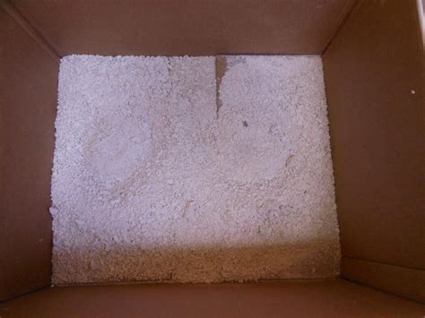 Nsfw Rule 34 On Popcorn Ceilings By Cptcool2 On Deviantart