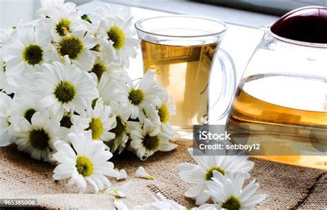 유리 컵과 유리 주전자 신선한 카모마일 허브에서 허브 카모마일 차 건강관리와 의술에 대한 스톡 사진 및 기타 이미지 건강관리와 의술 꽃 나무 꽃 식물 Istock