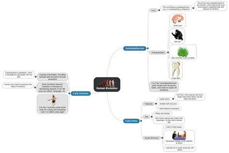 Human Evolution 4914 Mindview Mind Mapping Software