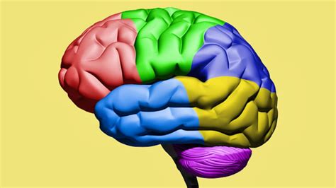 Embedded C Programming Essentials Coursera