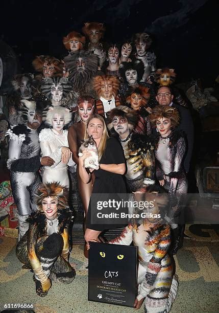 24 Tabitha Bundesen Grumpy Cat Photos And High Res Pictures Getty Images