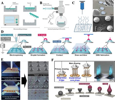 Advances In Polysaccharide Based Microneedle Systems For The Treatment