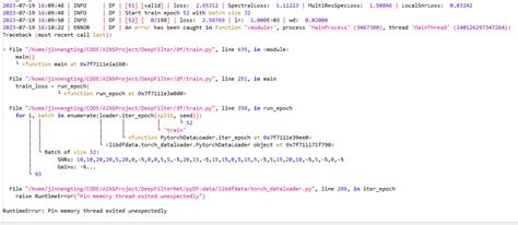 Runtimeerror Pin Memory Thread Exited Unexpectedly And Runtimeerror Df Dataloader Error
