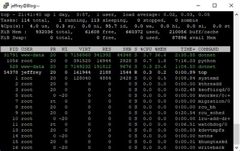 笨問題 ASP NET Core 在 Linux 佔用大量 Virtual Memory 黑暗執行緒