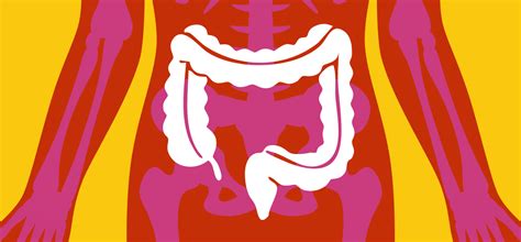 Ulcerative Colitis Taxonomy Pathways