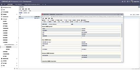 Oracle Primavera Unifier计划管理器planning Manageroracle 计划管理器 Csdn博客