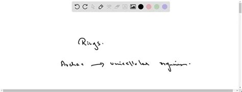 solved draw all possible rooted trees relating three taxa how many are