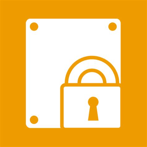 Bitlocker Icon