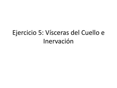 Ejercicio 5 Vísceras Y Nervios De Cabeza Jessy González Udocz