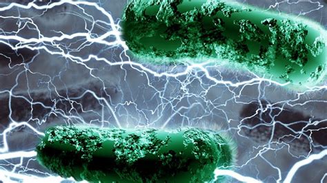 Power From The Ground Microbial Electrogenesis Explained