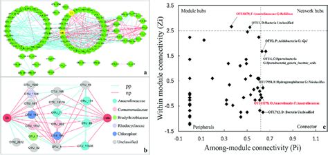 radom matrix theory rmt based molecular ecology networks mens a