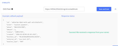 Introducing Xendit Python Library Xendit