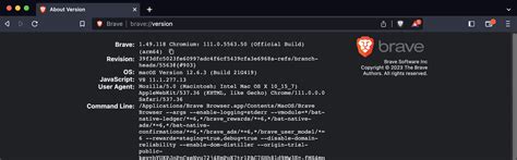 Update Makes 2 Downloads Every Time · Issue 27398 · Bravebrave