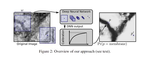 U Net O Ronneberger 논문리뷰 및 pytorch 구현