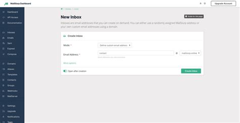 Custom Email Domain Setup Guide With Screenshots