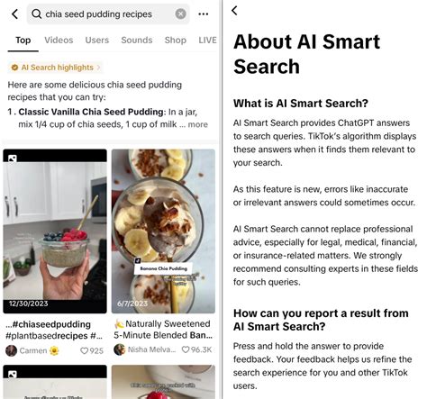 틱톡 오픈ai와 손잡고 Ai 검색 서비스 개발 중