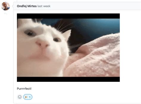 array shapes for preg match matches my developer experience