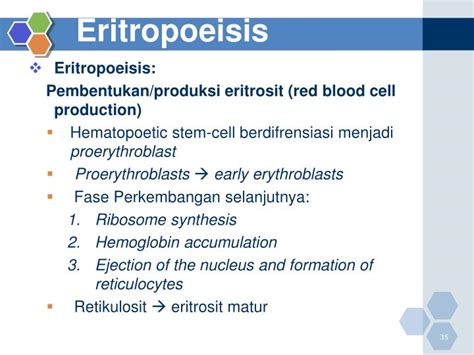 Ppt Hematopoeisis Powerpoint Presentation Id 3448523