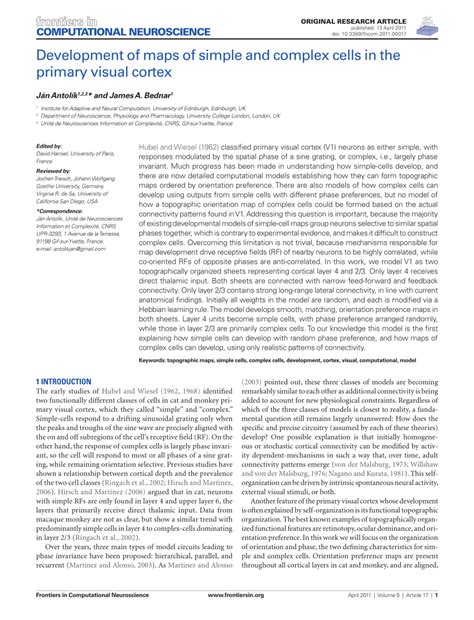 pdf development of maps of simple and complex cells in the primary