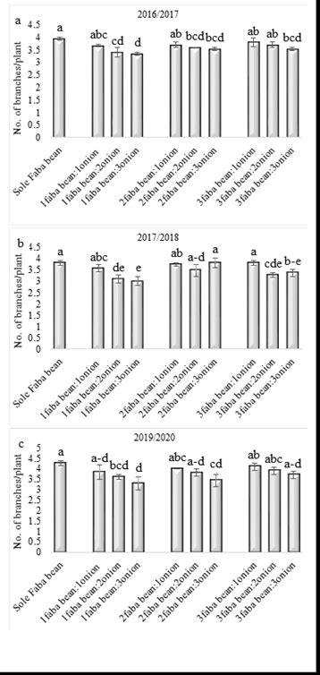 Influence Of Intercropping System On No Of Branchesplant Of Faba Bean Download Scientific