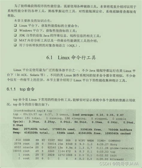 程序员必修课：阿里性能优化全解终开源，设计 代码 jvm三飞 阿里性能优化小册 2023版 下载 鸨哥学java的博客 csdn博客