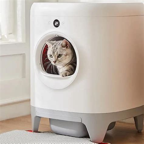 The 13 Best Cat Litter Boxes Of 2023 Tested And Reviewed