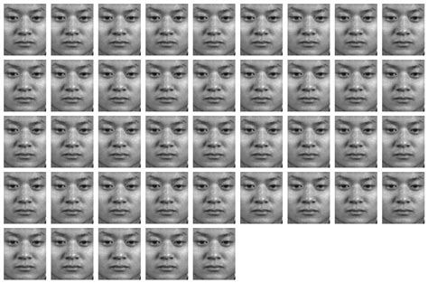 Sensors Free Full Text Micro Expression Recognition Based On
