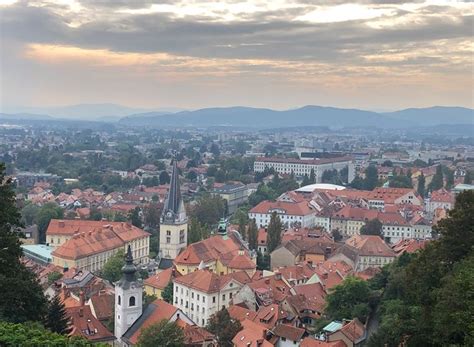 Reckitt Trannum Rahim