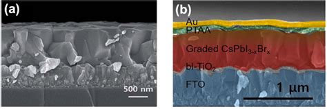 A Cross Sectional Image Of Mapbi 3 X Cl X Tio 2 Fto Substrates Download Scientific Diagram