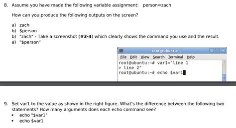 Solved Assume You Have Made The Following Variable Chegg