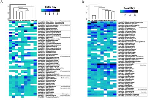Otu Distribution And Clustering Heatmaps Representing The Relative Download Scientific Diagram
