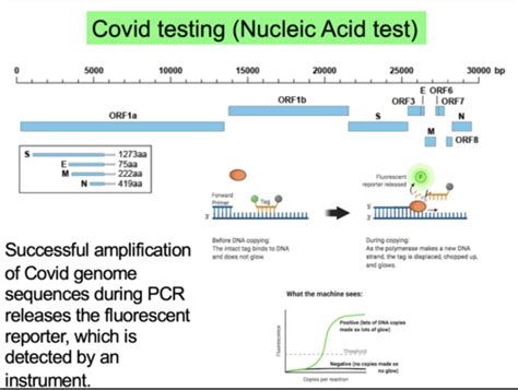 26 Metagenomics Applications Of Genome Sequencing And Metagenomics