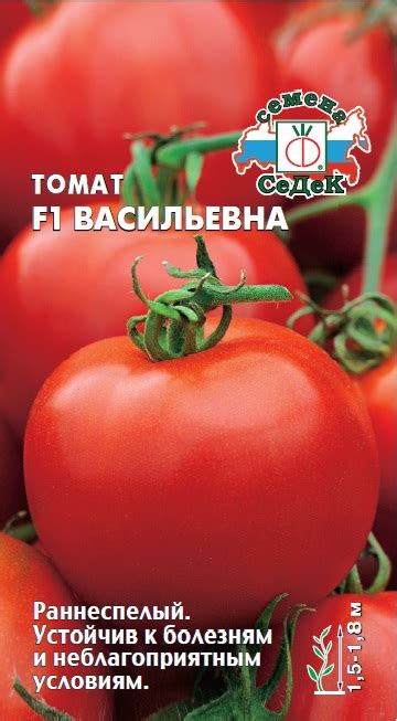 Томат васильевна характеристика и описание сорта - фото