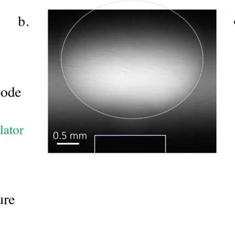 a sketch of the experimental setup for investigating foaming process
