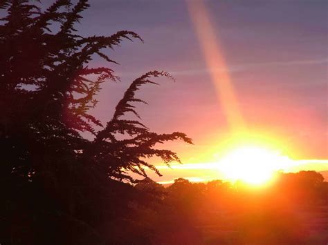 Twitter Sunset Tutorialchip