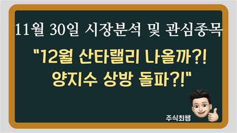 11월 30일 주식 시장분석 및 관심종목 Youtube