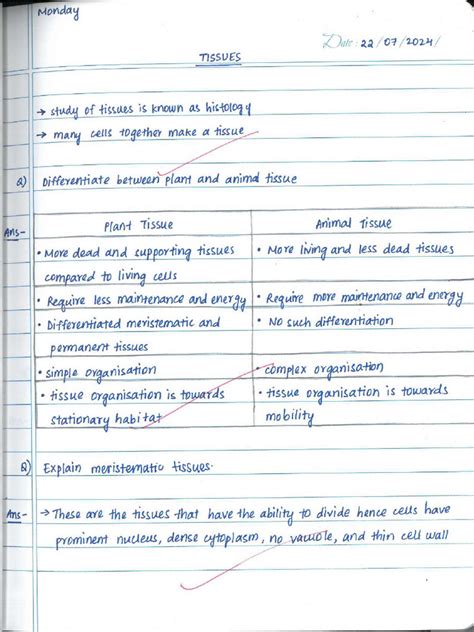 tissues notes pdf