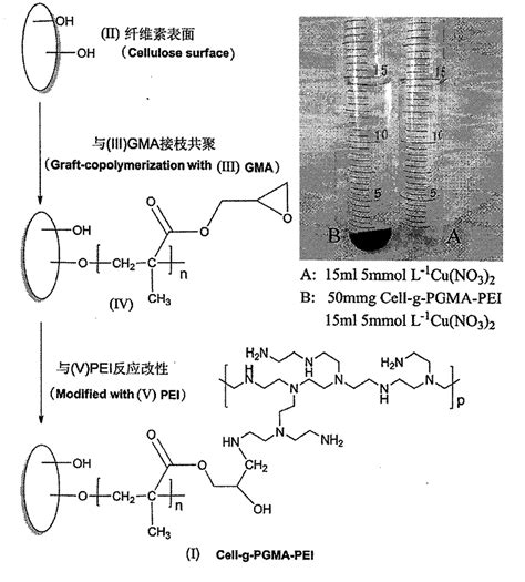 Preparation Method Of Efficient Polyethyleneimine Modified Cellulose Based Heavy Metal Adsorbent
