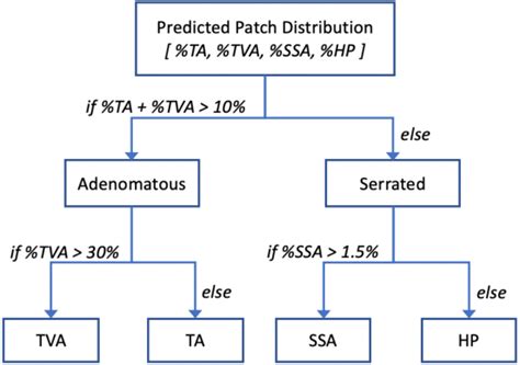 Figure 2 From Deep Neural Networks For Automated Classification Of