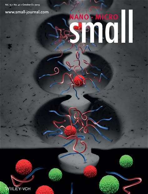 Functionalized Nanopores Influence Of Chain Architecture On Nanopore