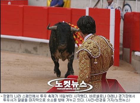 스페인 투우사의 사생결단 노컷뉴스
